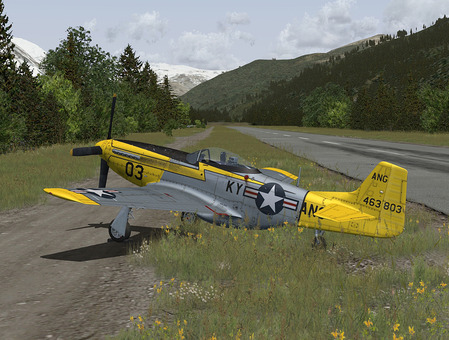 Warbirdsim Mutang Tales - Kentucky ANG | SOH Forums