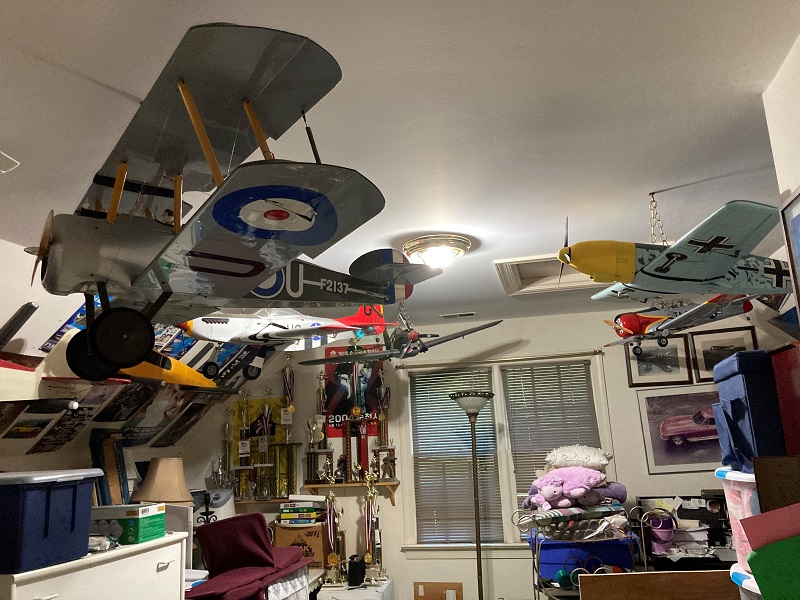 Fokker DVII | SOH Forums